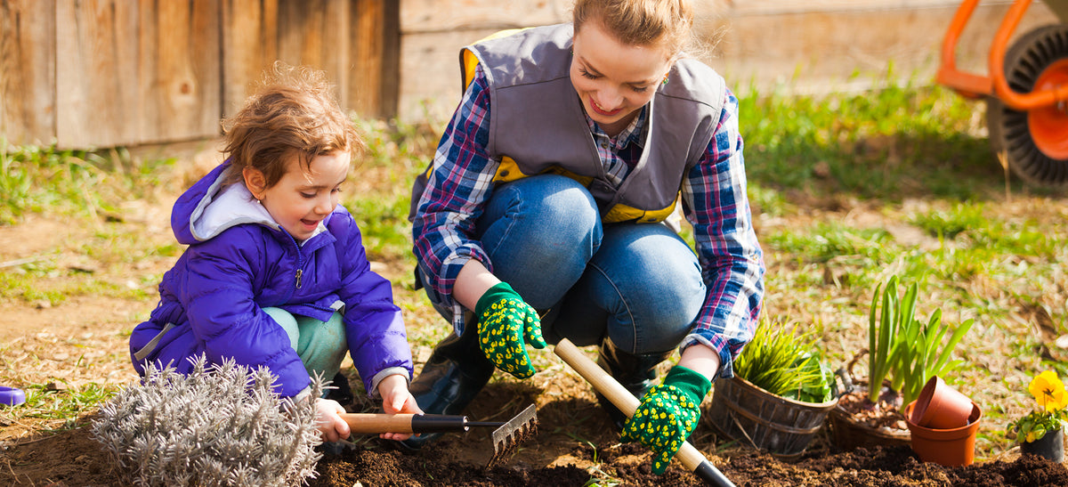 Garden School: Green Lessons for Kids – American Beauties Native Plants